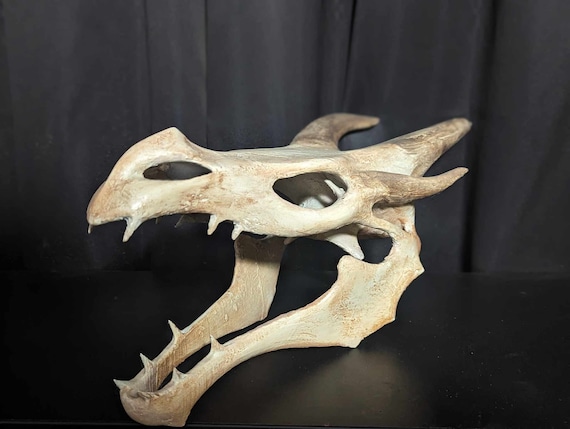 Dragon Skull