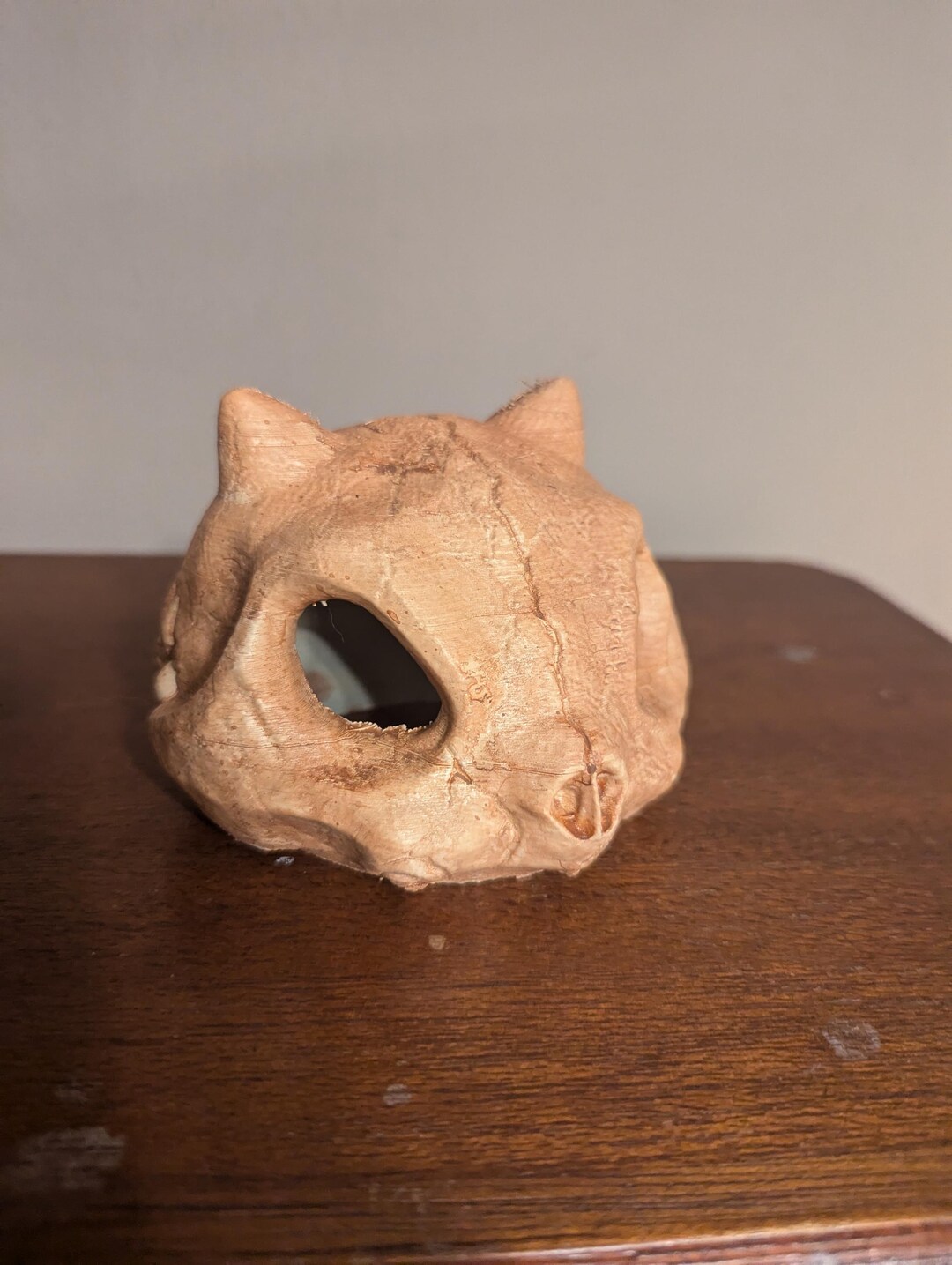 Replica Bulbasaur Skull 3D Print - Etsy
