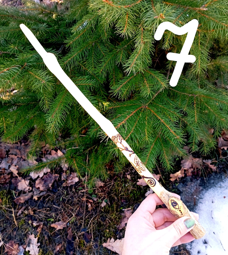 Schwarzer Holunder Beere Ritual Zauberstab, Druidentum Hexerei, Pagan ...