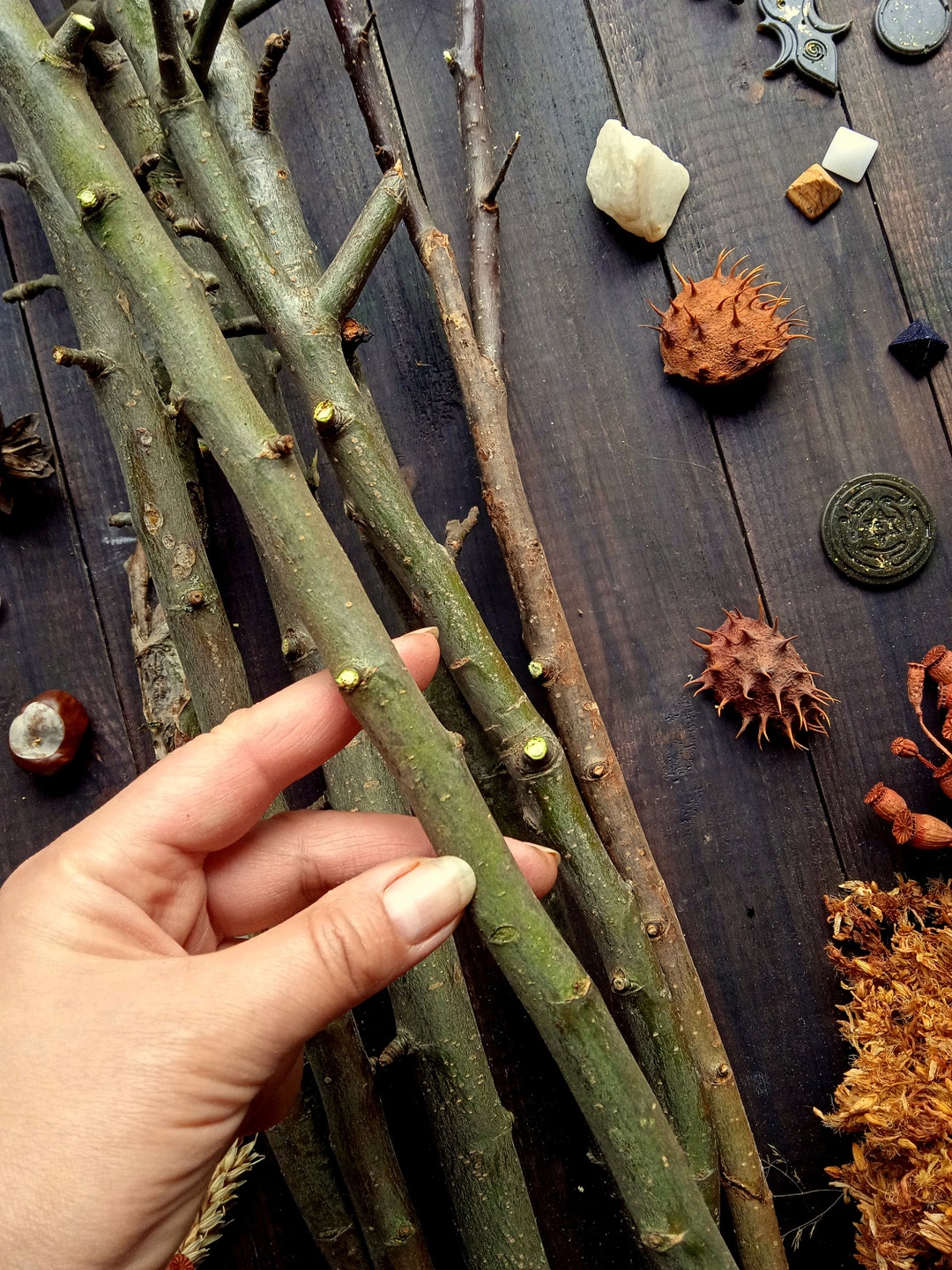 Apple Tree Branches Set of 10 , Home Decor Art Project, Magic Wands ...