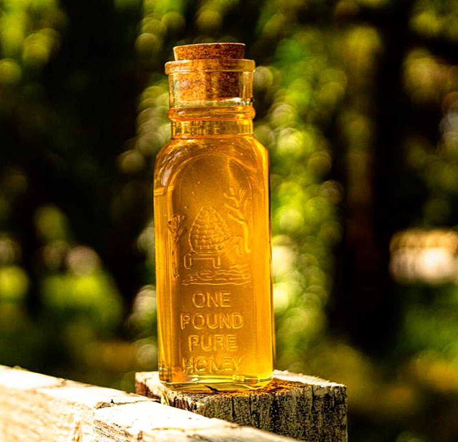 Ojai Bee Honey, 1lb Muth Glass of Organic, Pure, Raw, Unfiltered ...