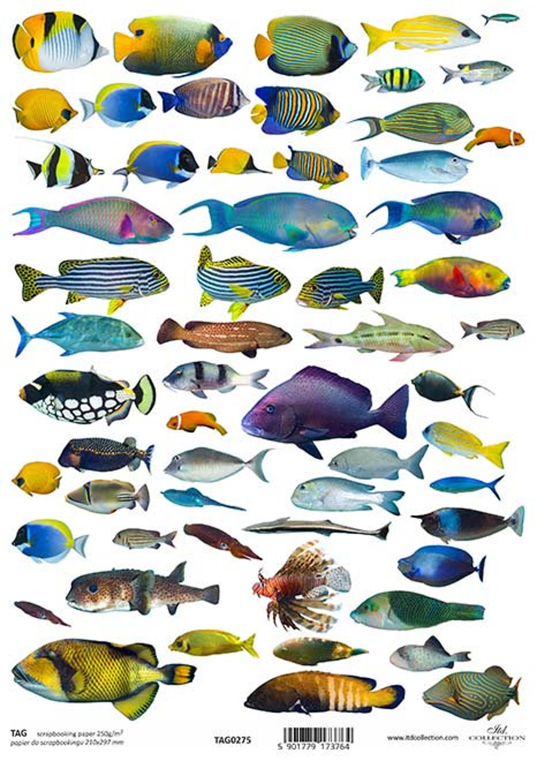 Cutting Sheet, Craft Cardboard, Decoupage, Sea Fish, A4, TAG275 - Etsy
