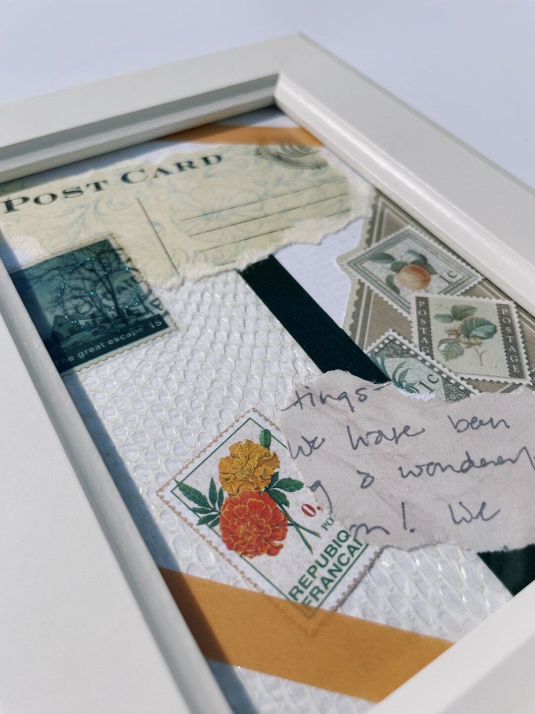 Snake Shed Frame, Snake Shed Home Decor, Snakeskin Home Decor, Framed ...