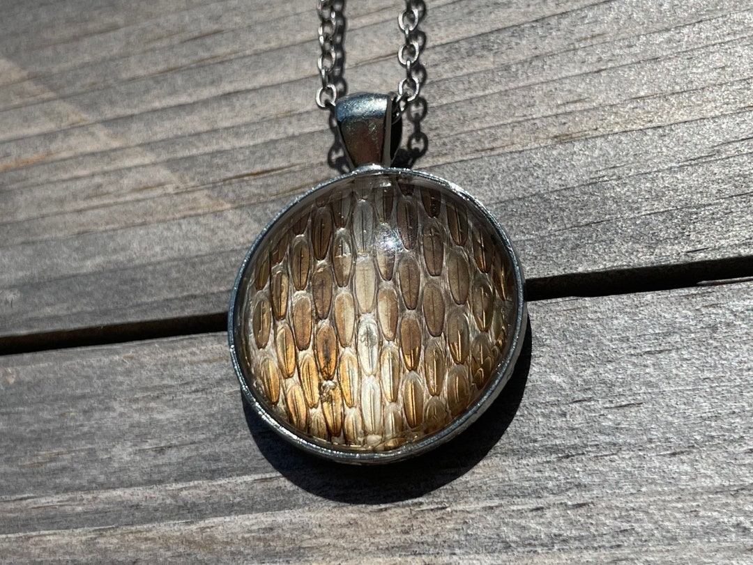 Snake Shed Necklace, Snake Shed Pendant, Snakeskin Necklace, Snakeskin ...