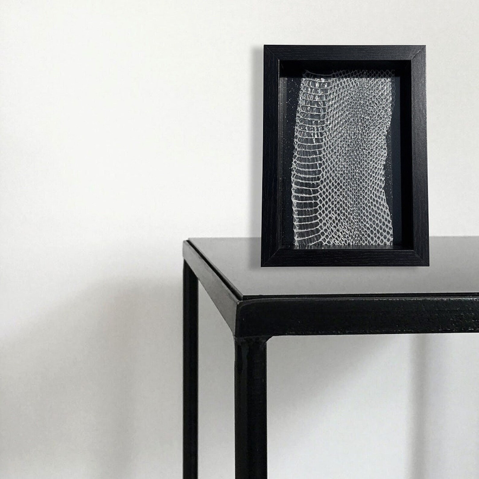 Snake Shed Frame, Snake Shed Home Decor, Snakeskin Home Decor, Framed ...