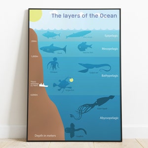 The Layers of the Ocean, for Kids Printable Poster, Kindergarten ...