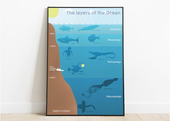 The Layers of the Ocean for Kids Printable Poster | Etsy UK