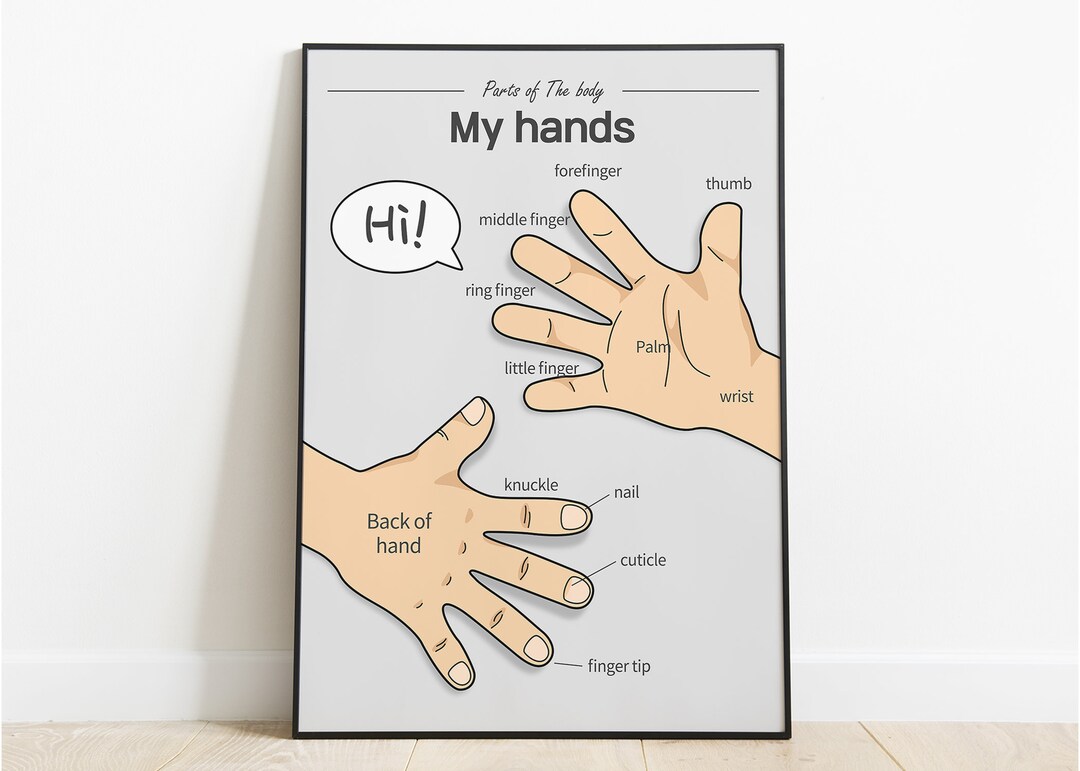 Parts of the Body, for Kids Anatomy, My Hands Printable Poster ...