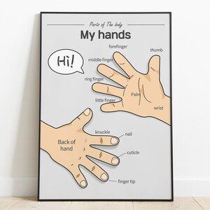 Parts of the Body, for Kids Anatomy, My Hands Printable Poster ...