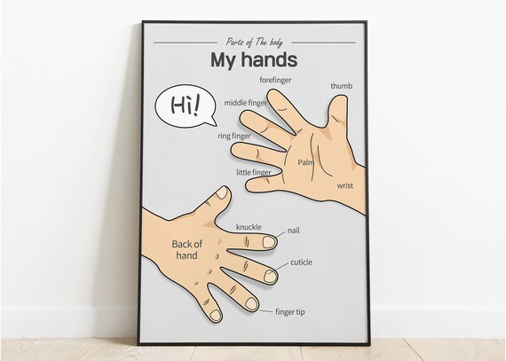 Parts of the Body for Kids Anatomy My Hands Printable | Etsy