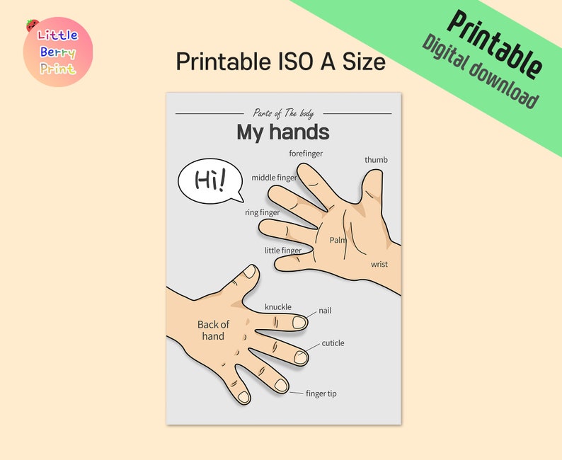 Parts of the Body, for Kids Anatomy, My Hands Printable Poster ...