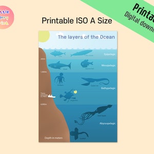 The Layers of the Ocean, for Kids Printable Poster, Kindergarten ...