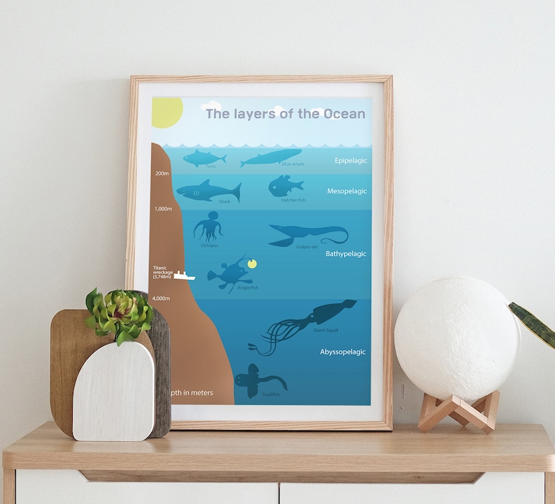 The Layers of the Ocean, for Kids Printable Poster, Kindergarten ...