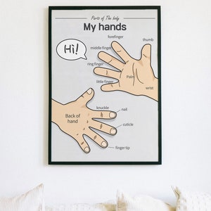 Parts of the Body, for Kids Anatomy, My Hands Printable Poster ...