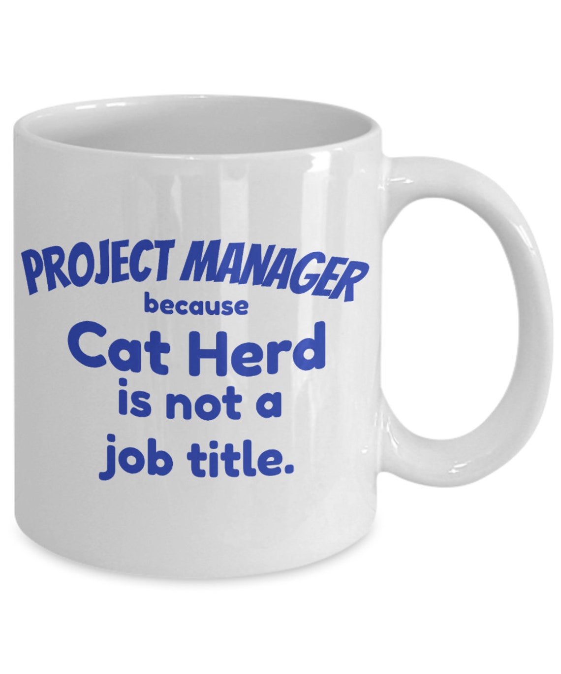 Project Manager Mug- Cat Herd Present, Scrum Master Coffee Cup, Project ...