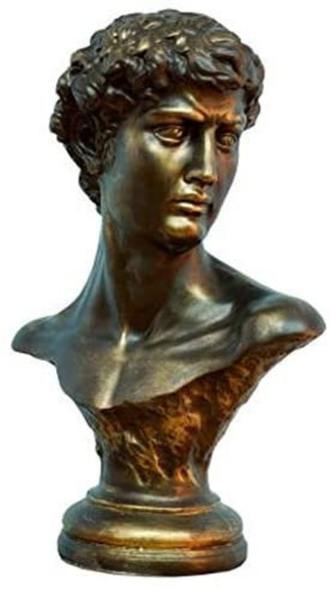 Bust of David Handsome Man Decoration for Your Home Perfect for a Gift ...
