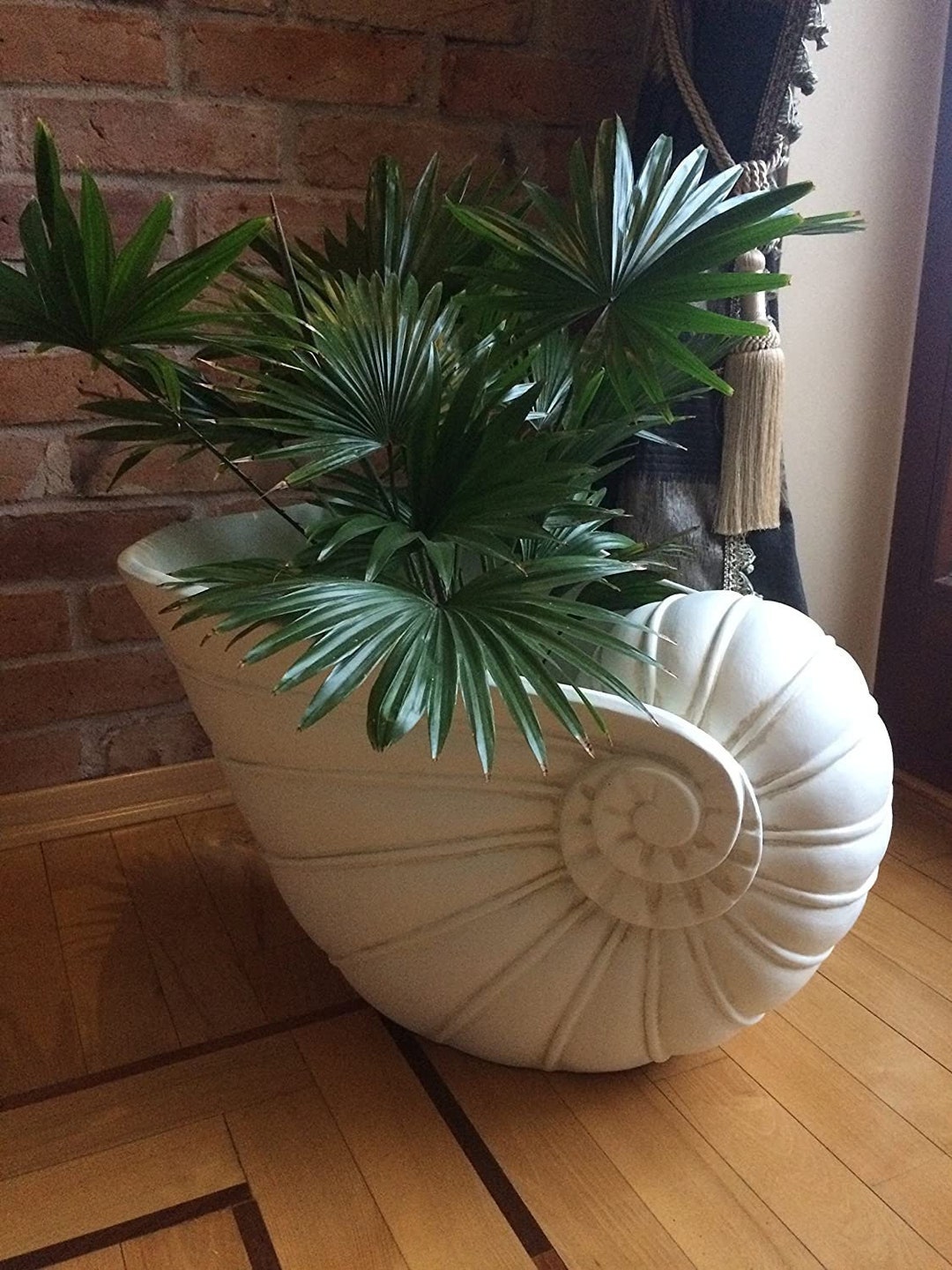 Beautiful Shell Pot, Unique Decoration for Your Home or Garden, Perfect ...