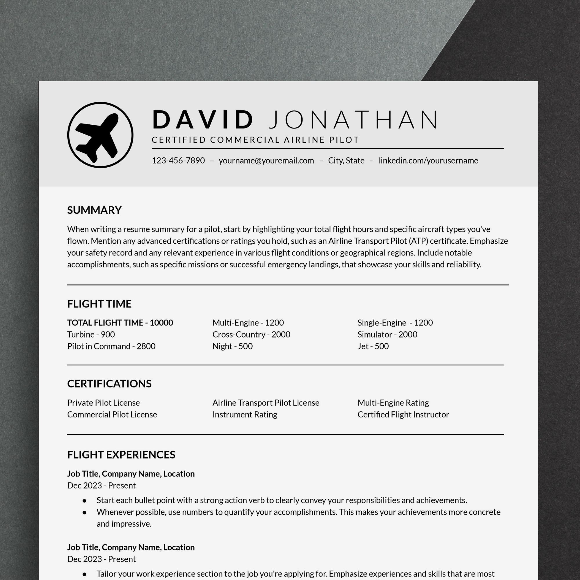 Pilot Resume Template Google Docs, Pilot Word Resume, Professional ...