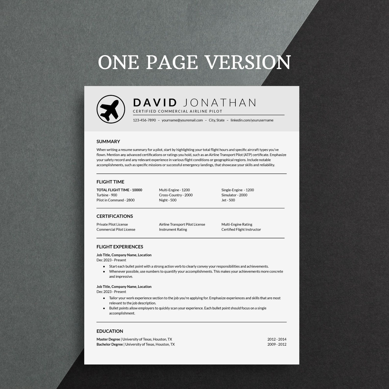 Pilot Resume Template Google Docs, Pilot Word Resume, Professional ...