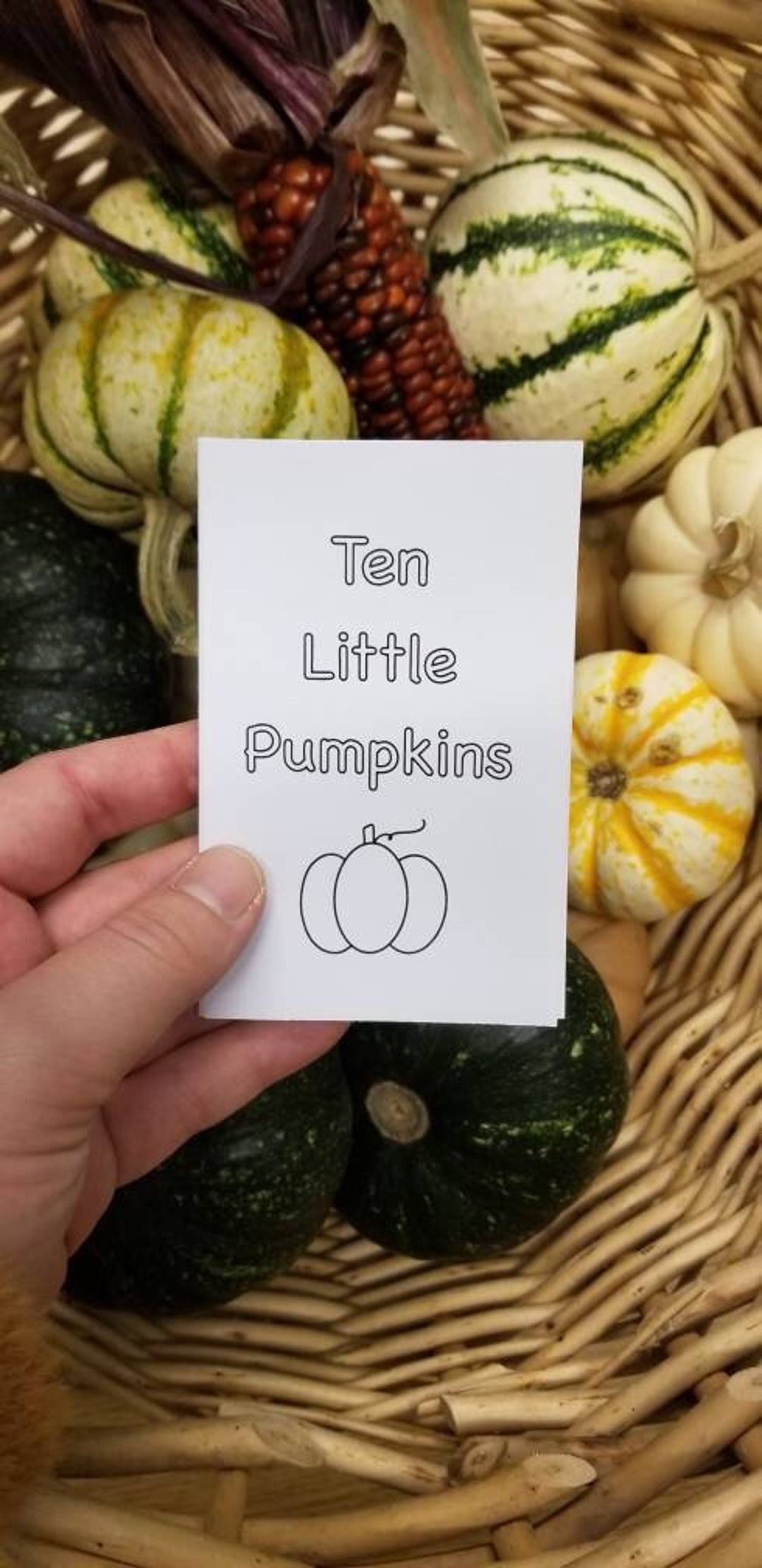 Ten Little Pumpkins Teeny Tiny Book - Etsy
