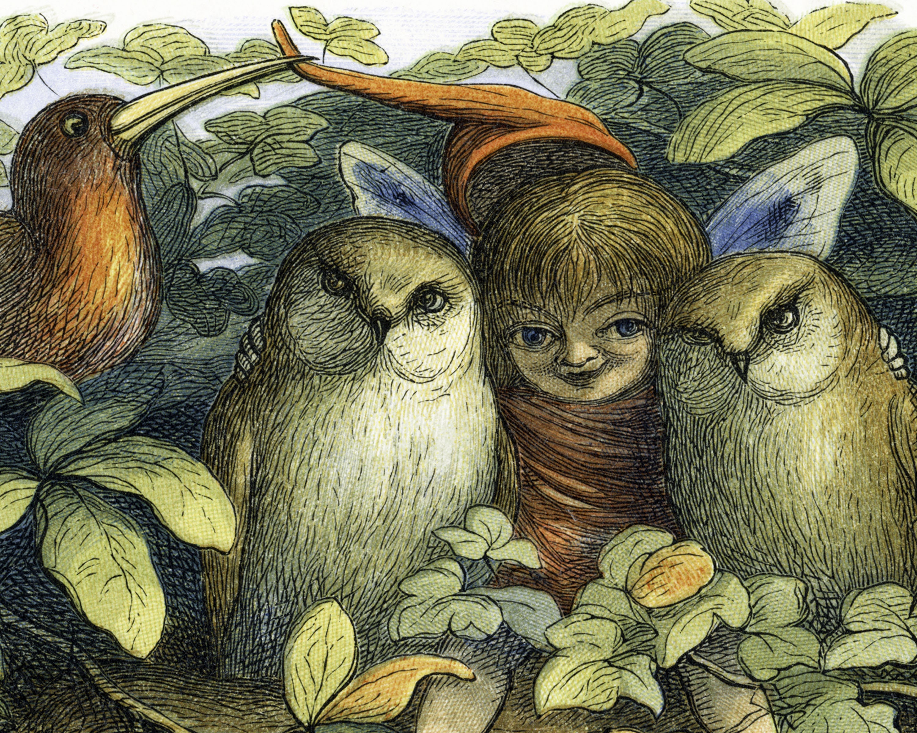 Fantasy Print: Elf With Owls. Fine Art Giclée Print From - Etsy