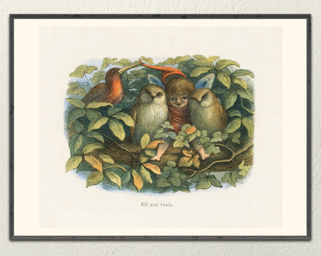 Fantasy Print: Elf With Owls. Fine Art Giclée Print From Original ...