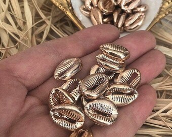 5/10/20pcs Natural Sea Shells Cowrie Shell Gold Plated Shell - Etsy