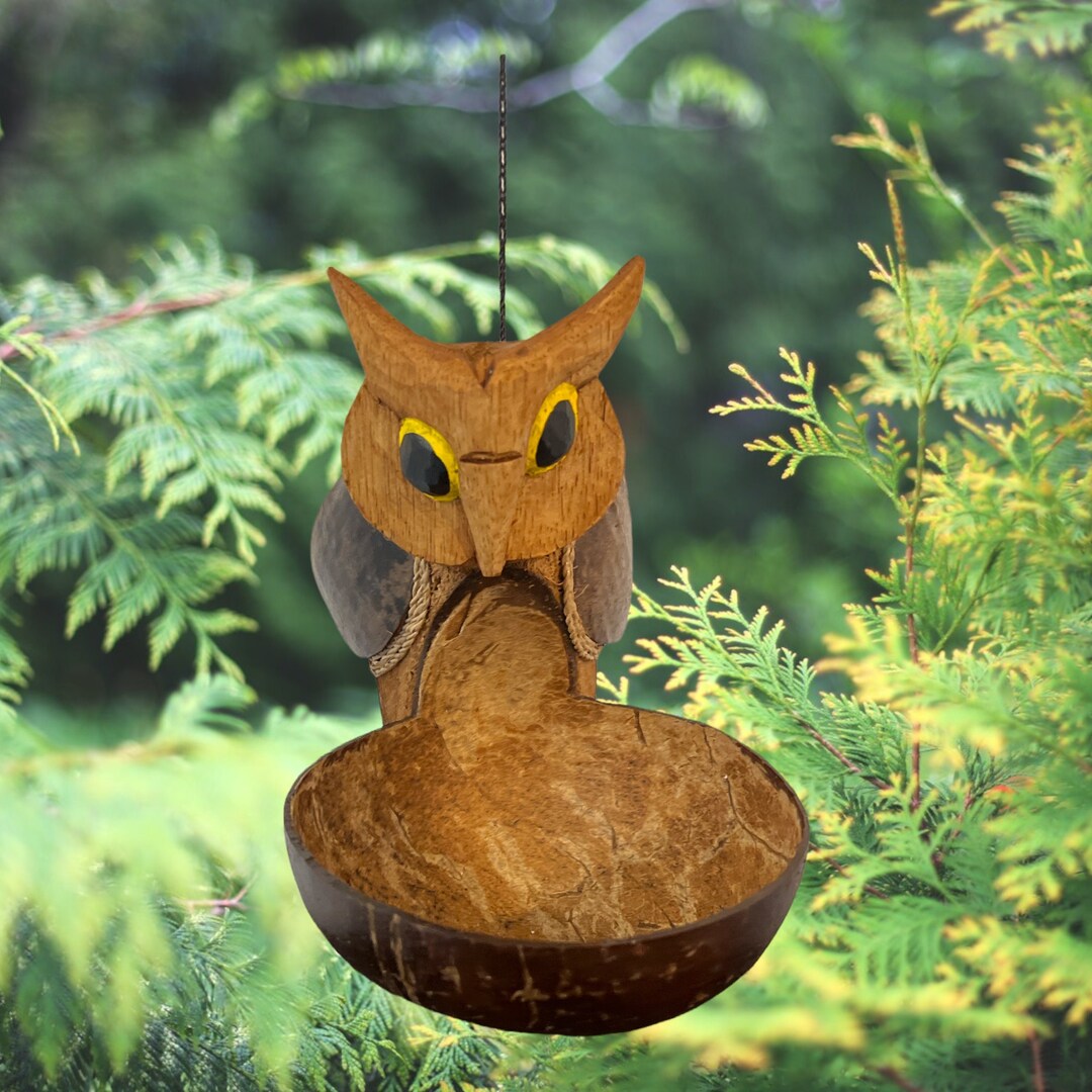 Owl Coconut Bird Feeder With Black and Yellow Eyes - Etsy