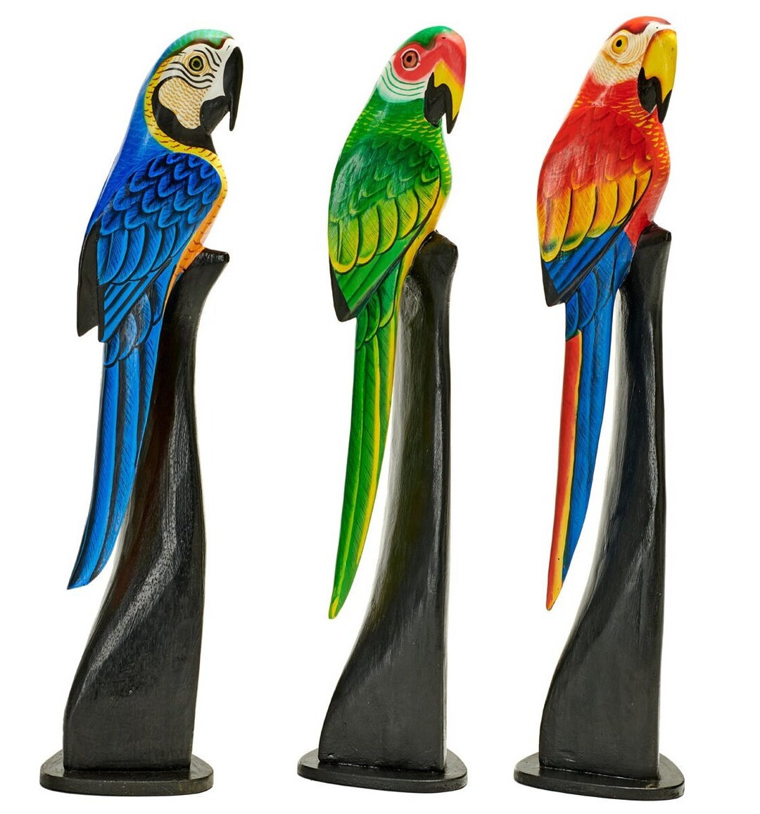 Painted Parrot 50cm Colour Green - Etsy