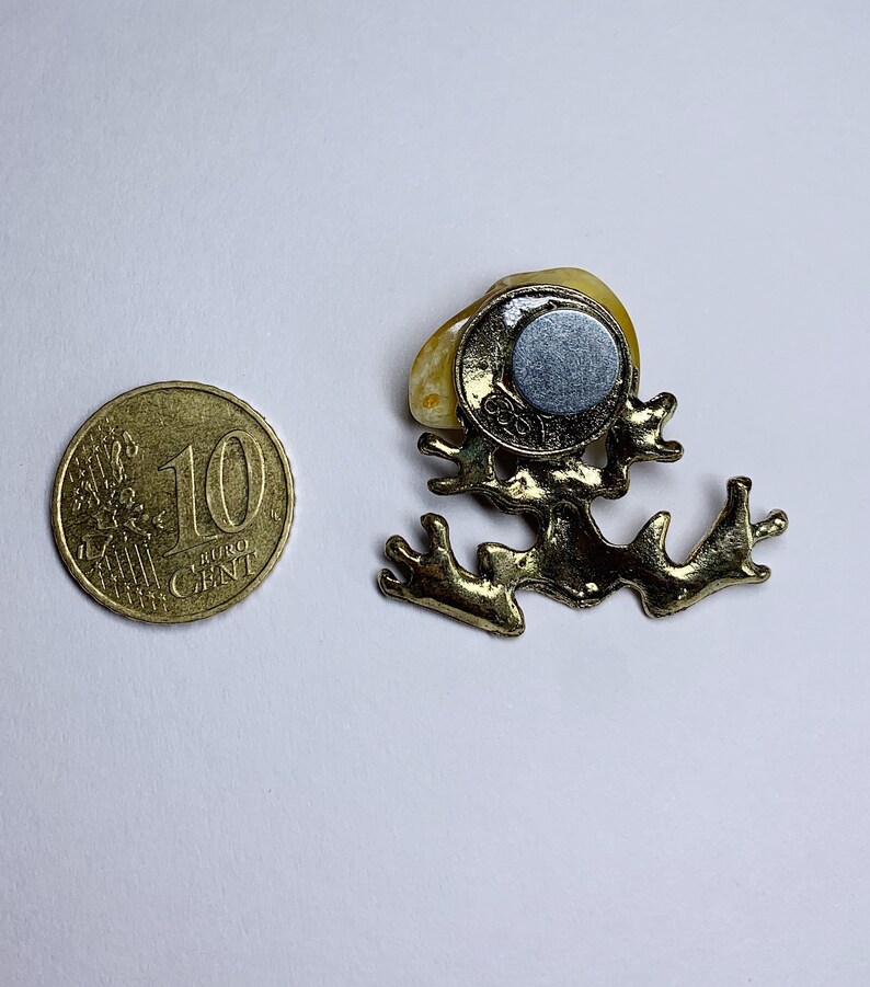 Good Luck Charms | Magnet With the Natural Baltic Amber | Amber ...