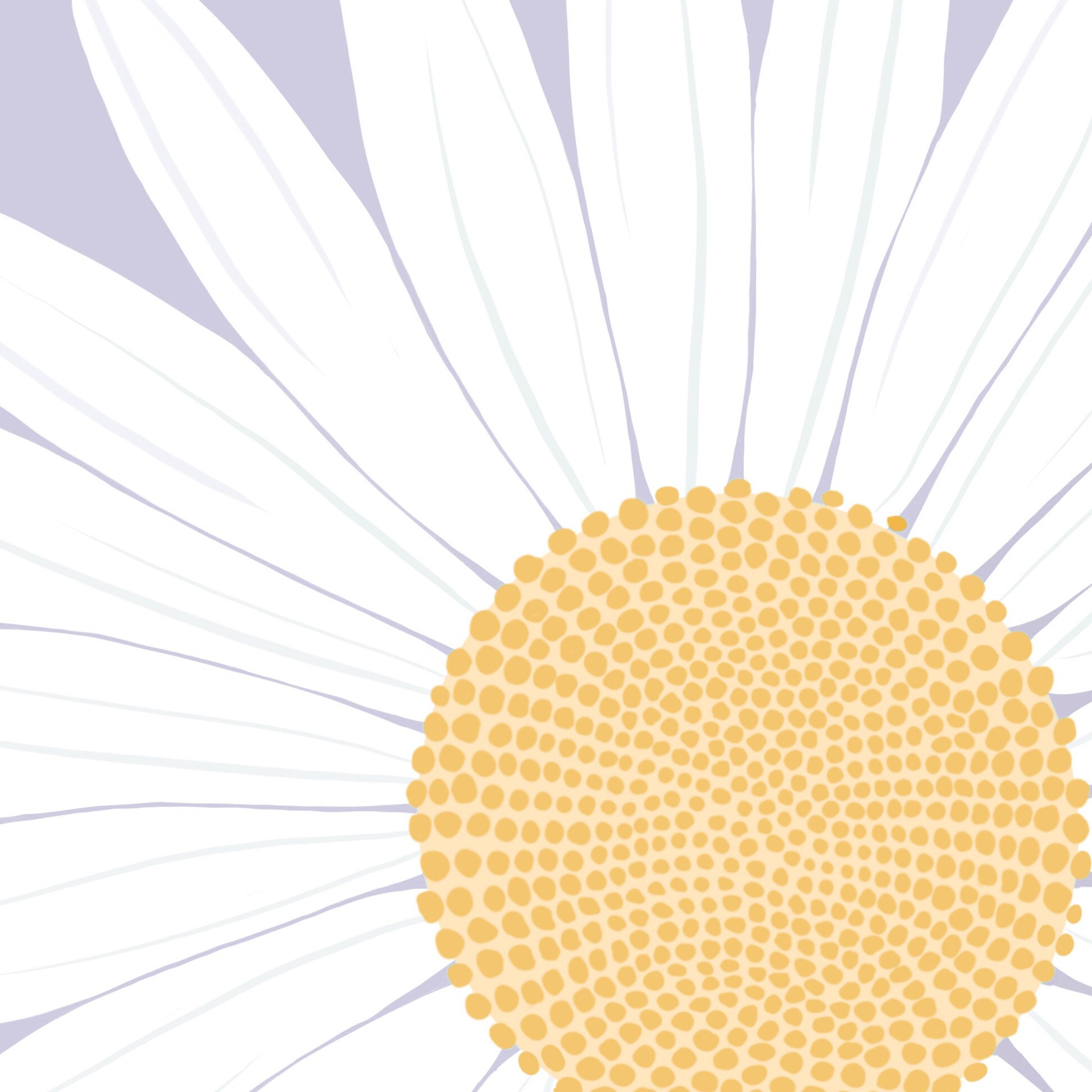 Lilac floral phone case personalised daisy flower on purple | Etsy