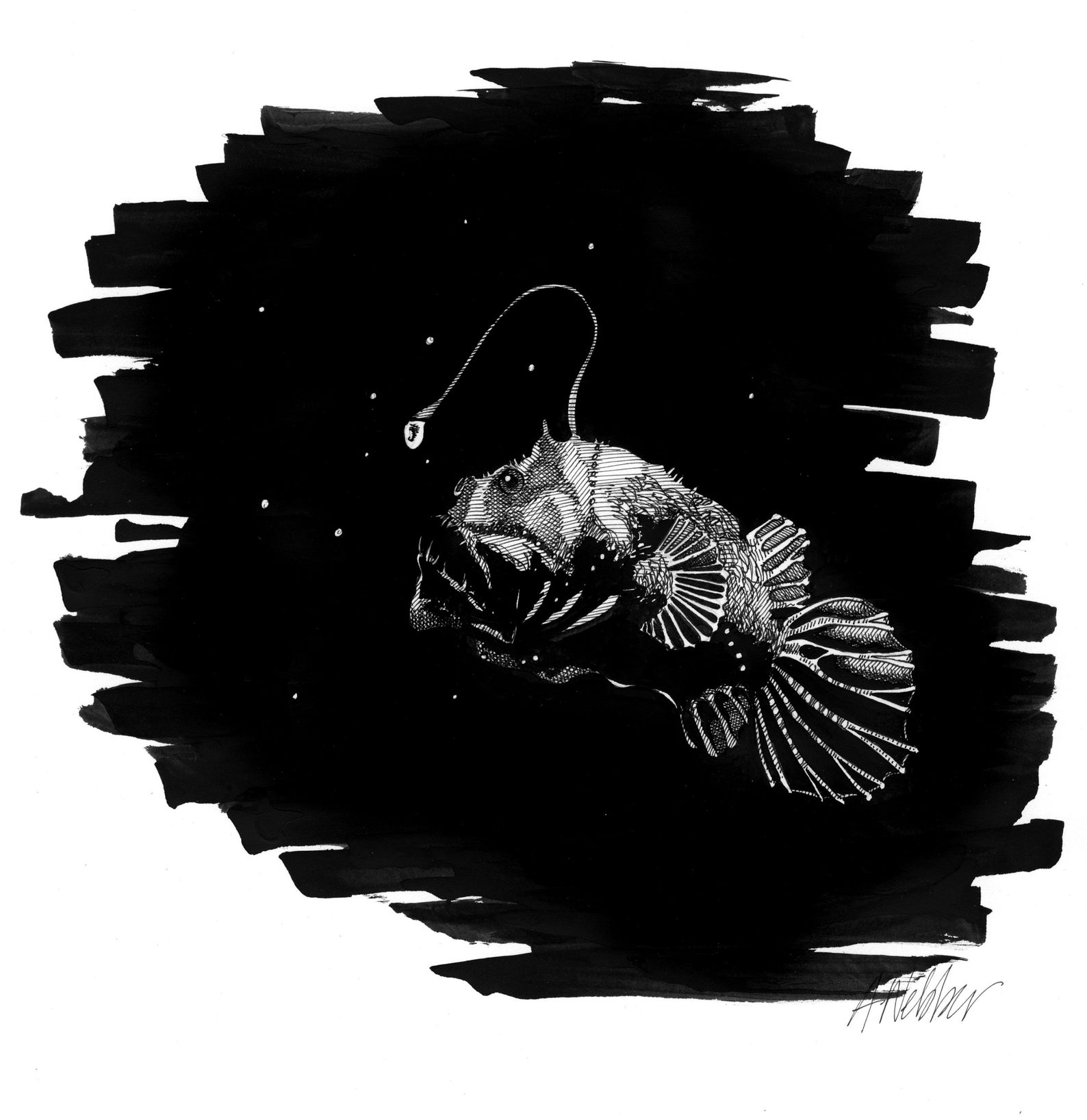Bait - Black and White Print of an Angler Fish - Etsy