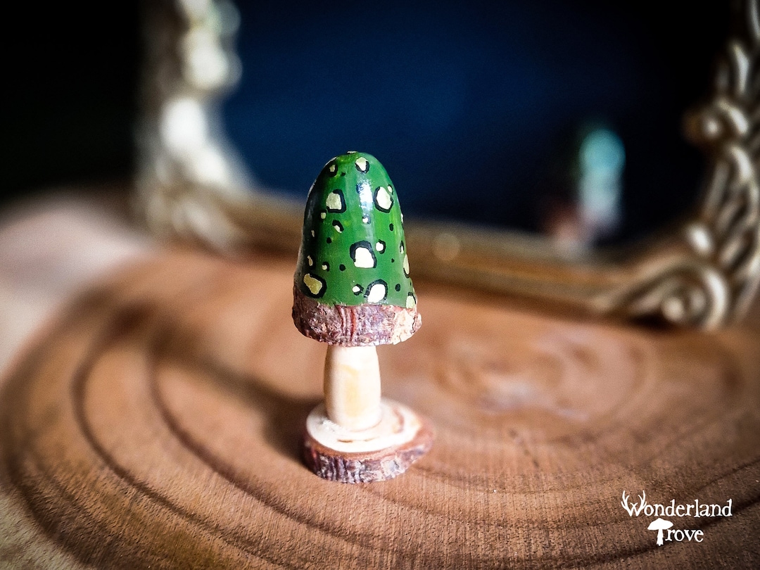 Wooden Mushroom Decorations, Coloured Mushrooms, Free Standing Mushroom ...