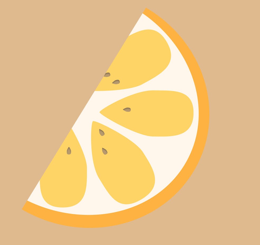 Orange Slice Vector Illustration Printable Art - Citrus Slice - Fruit ...