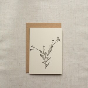 Forget-me-not Flower Bunch Card - Floral Botanical Greeting Cards ...