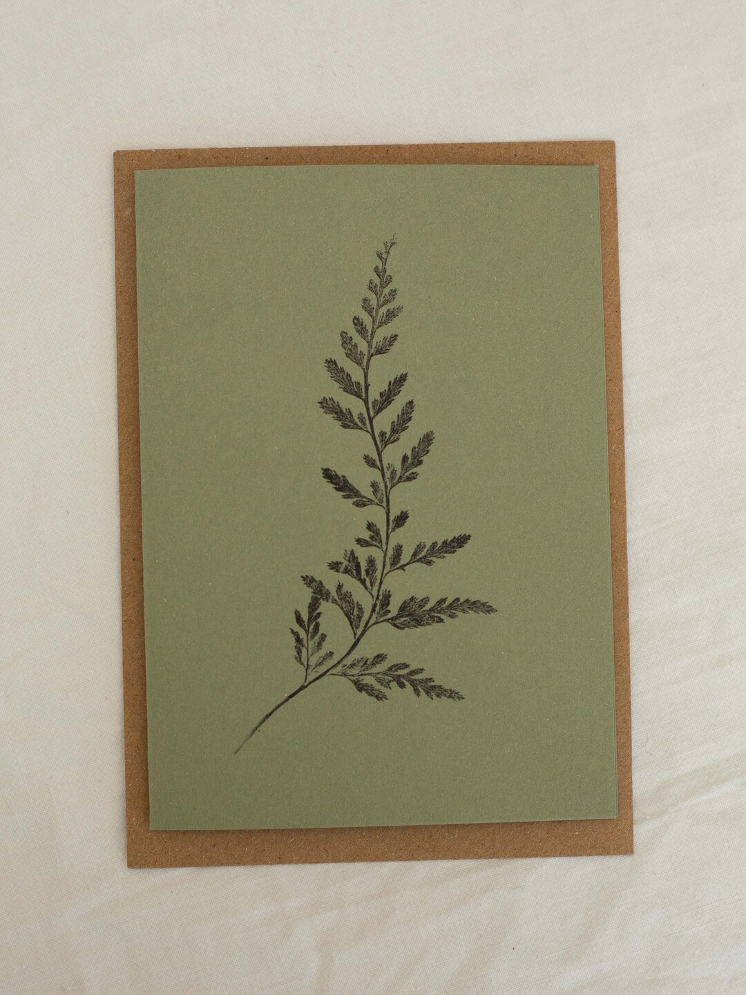 Fern Art Card Black Spleenwort Fern Botanical Greeting Card Fern ...