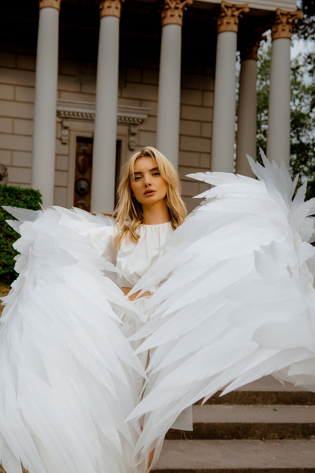 Extra Large Flexible Wings for Dancing, Accessory for Wedding Dance ...