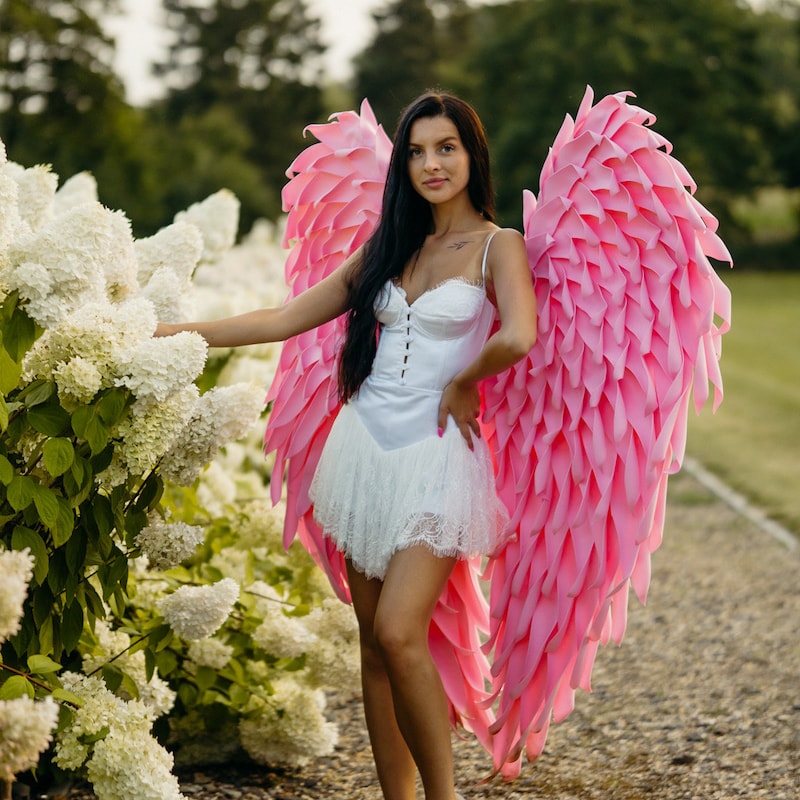 Pink Wings - Etsy