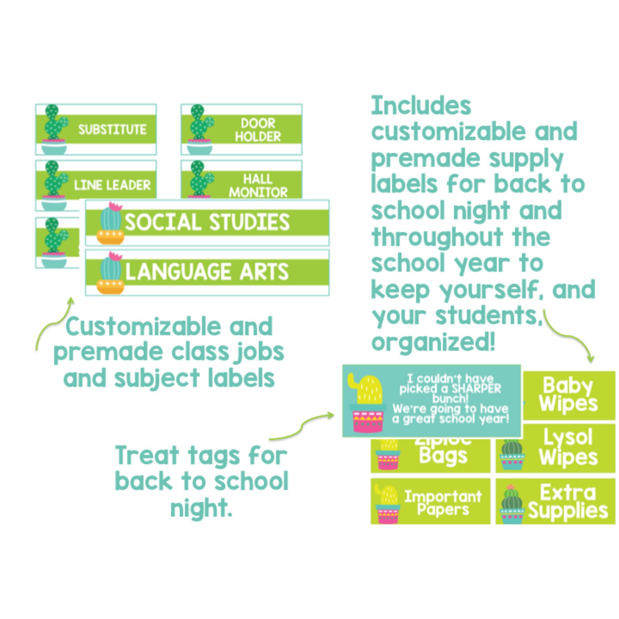 Cactus Classroom Decor & Back To School Forms Cactus | Etsy