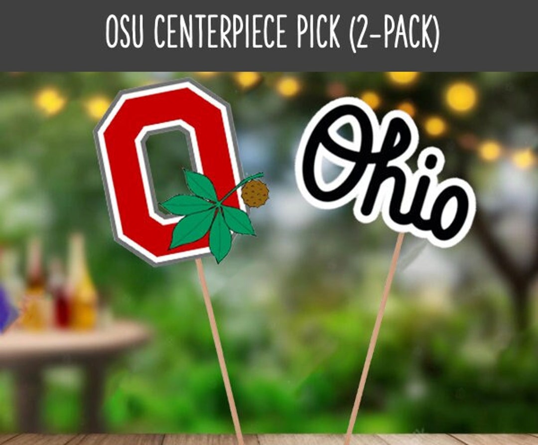 Ohio State Centerpiece Picks | Graduation Party Decoration - Etsy