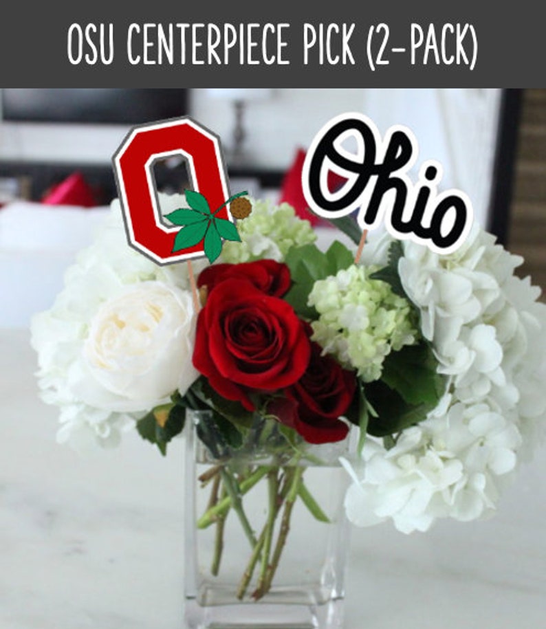 Ohio State Centerpiece Picks | Graduation Party Decoration - Etsy