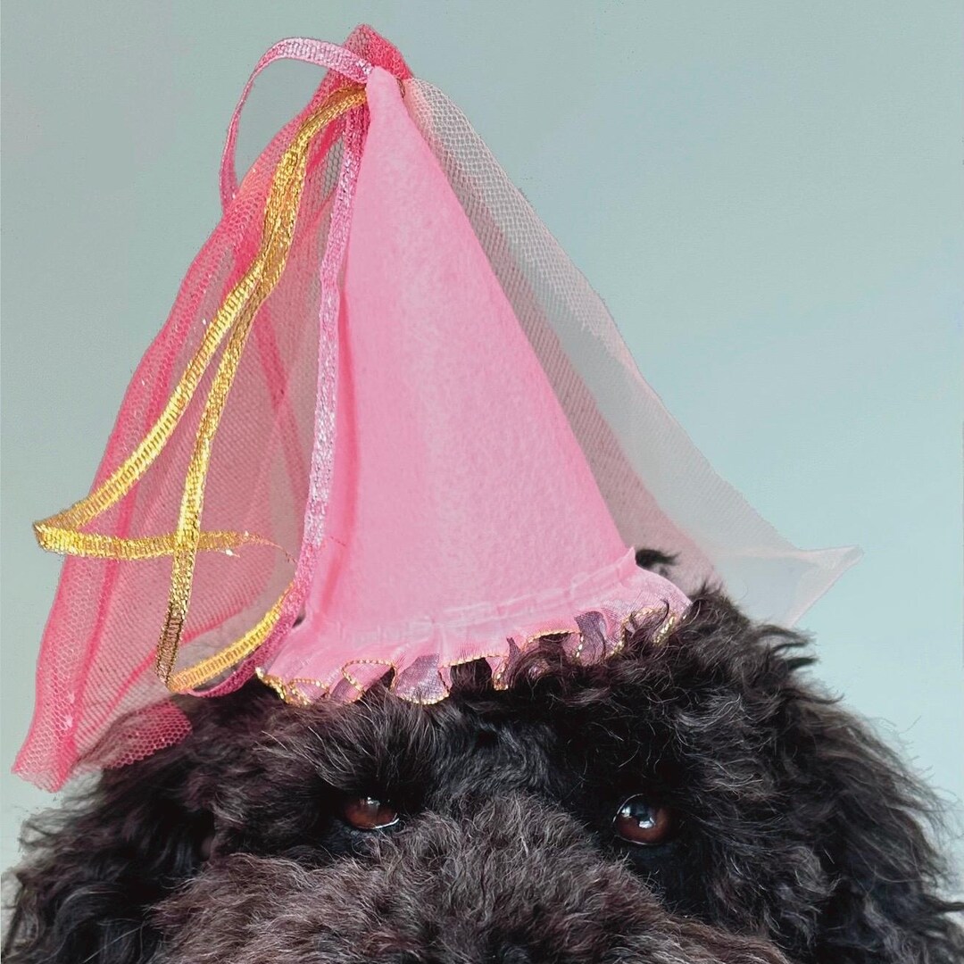 Pet Princess Hat | Dog Princess Hat | Cat Princess Costume - Etsy