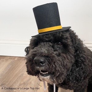 Dog Top Hat Top Hat for Pets Dog Wedding Outfit Pet Fancy Dress Dog ...