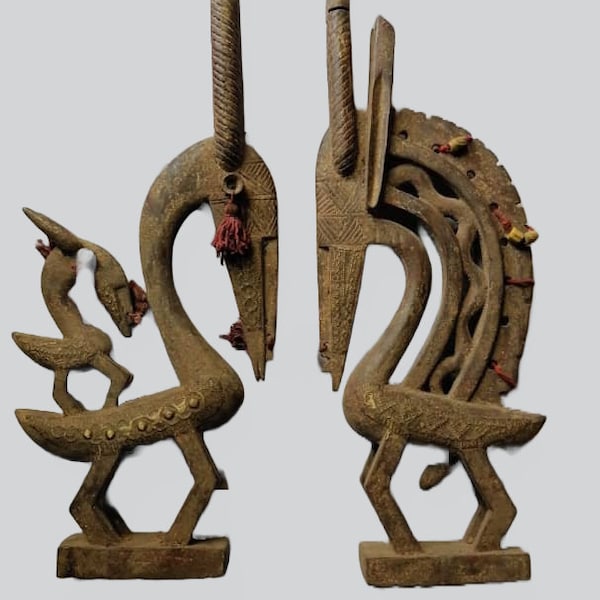 African Chiwaras - Etsy