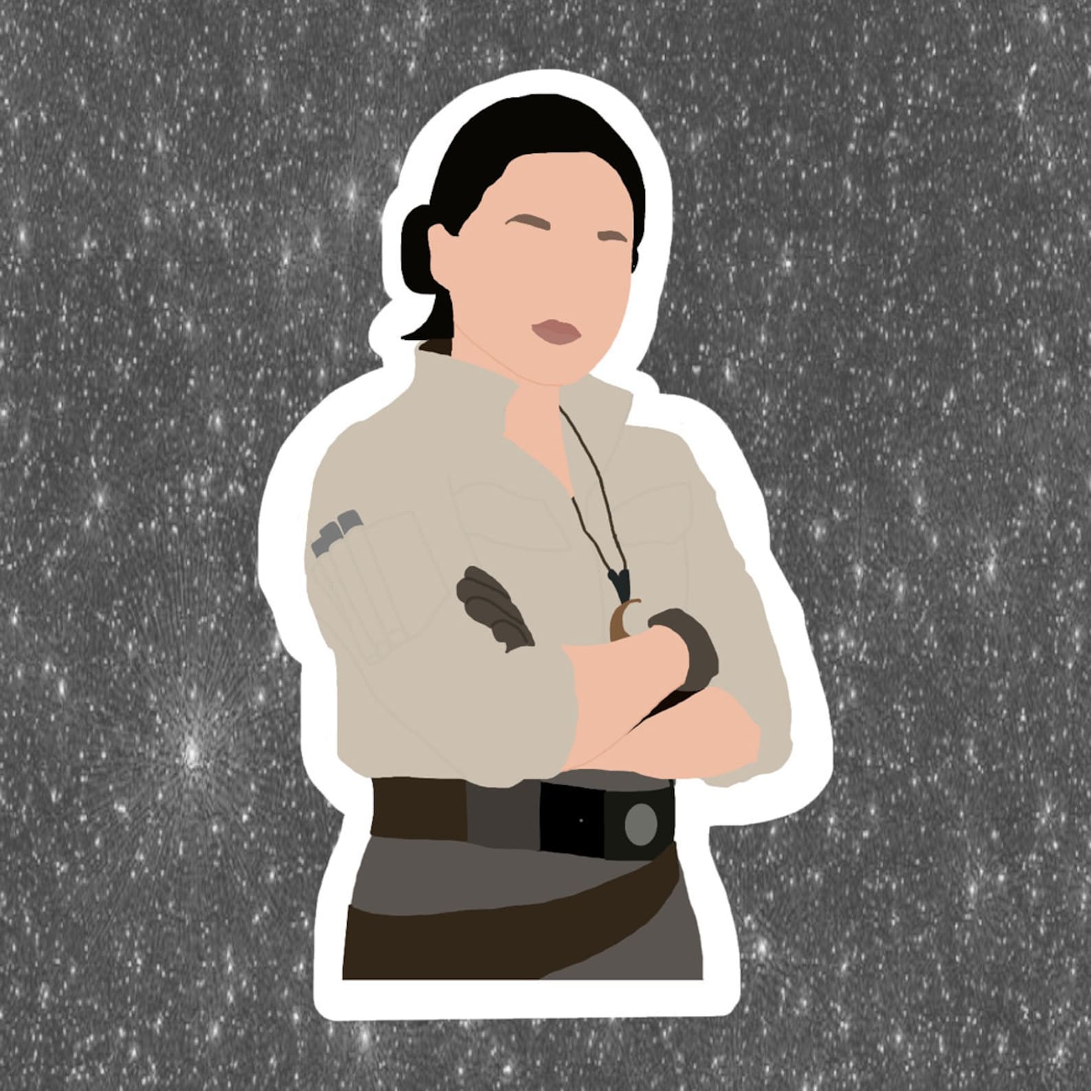 Ladies of Star Wars Vinyl Stickers - Etsy