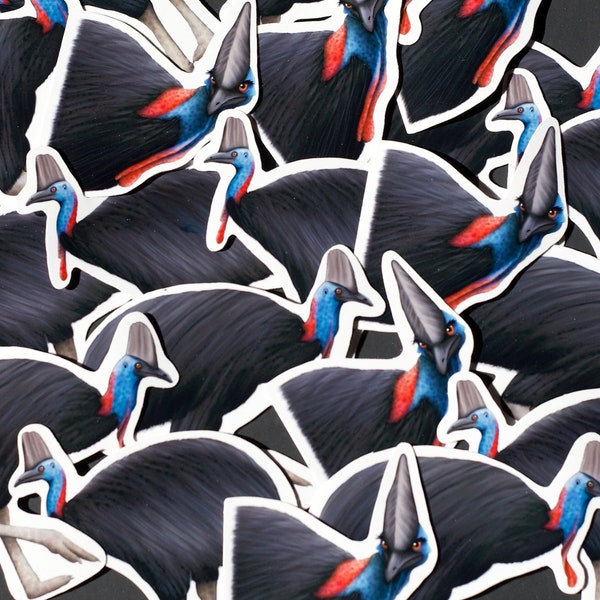 Cassowary Sticker - Etsy UK