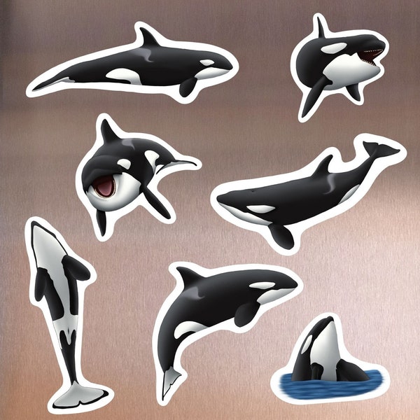 Orca Decor - Etsy