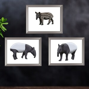 Malayan Tapir Art Print Set Jungle Wildlife Illustration Tropical Home ...