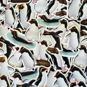 Rockhopper Penguin Sticker Pack Antarctic Wildlife Decals Waterproof ...