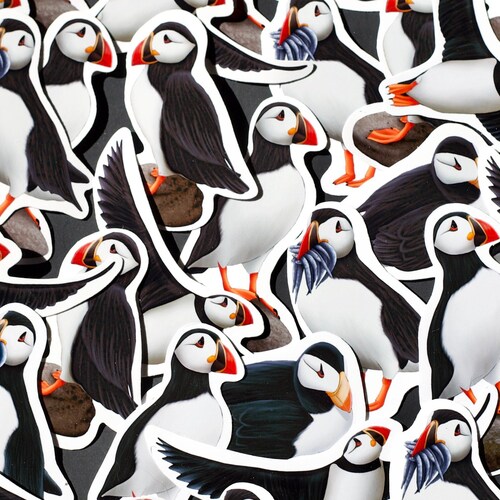 Puffin Sticker Cute Bird Vinyl Sticker - Etsy